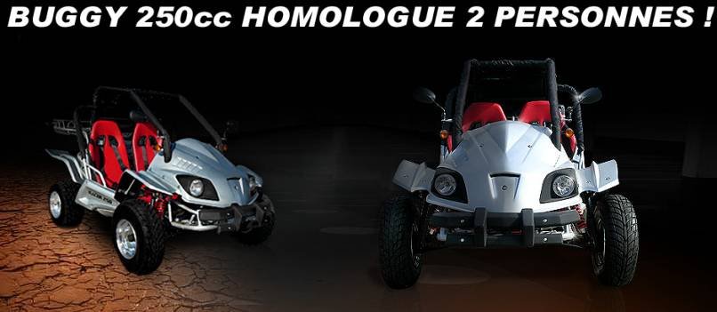 Buggy homologue route racer 250cc pas cher ! Go kart cross Kinroad